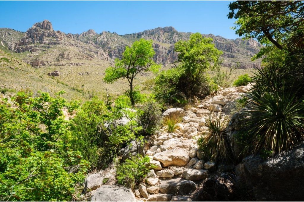 Best Hikes In Texas | Just Van Life