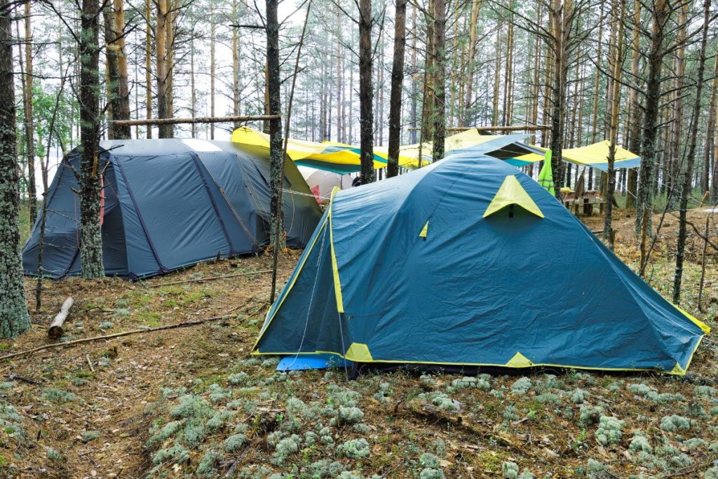 Best Camping In Poconos | Just Van Life